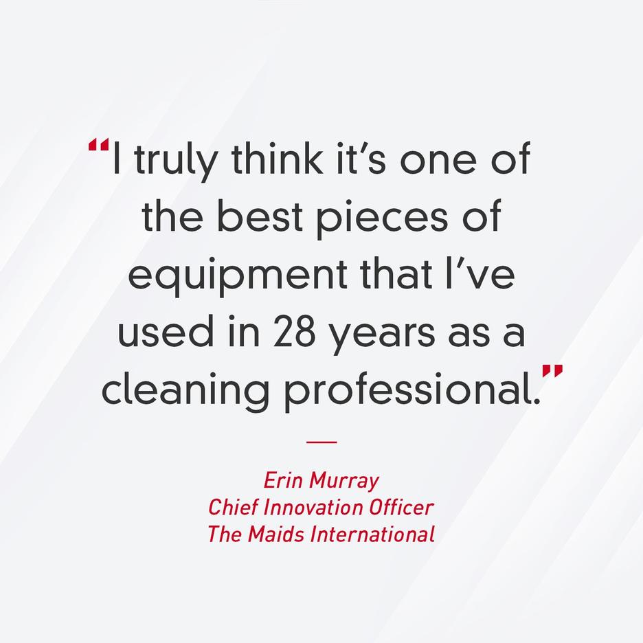 Ladybug 2350 Steam Vapor Cleaner