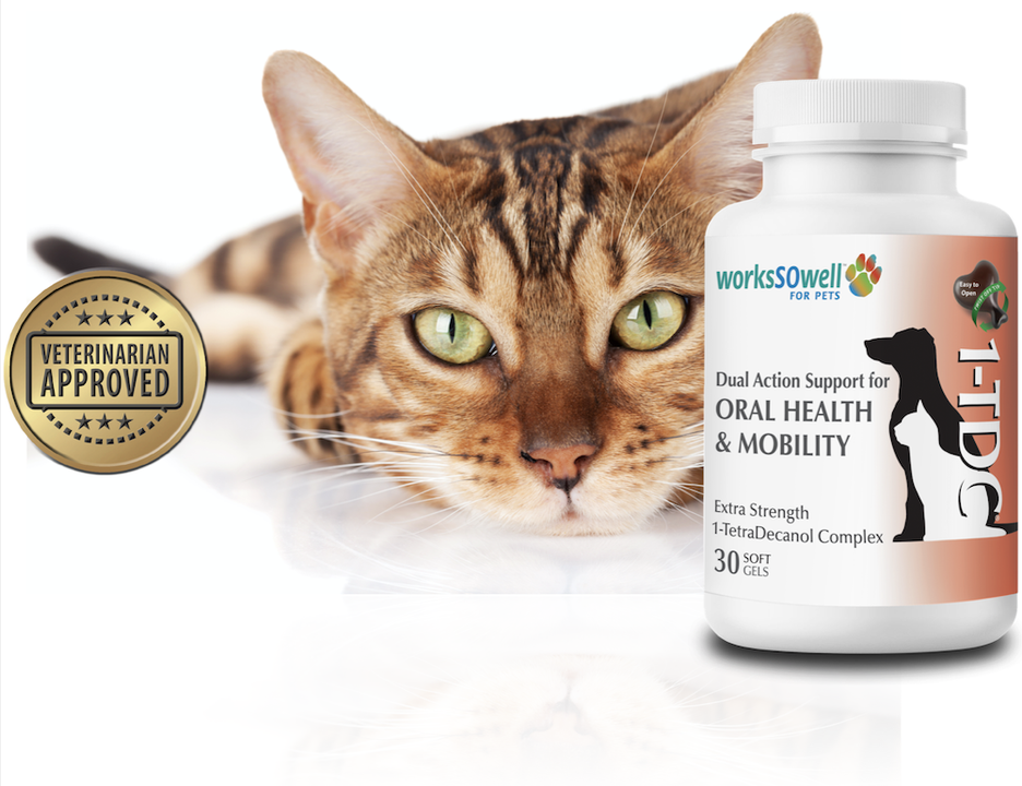 1-TDC Cat landing consumer