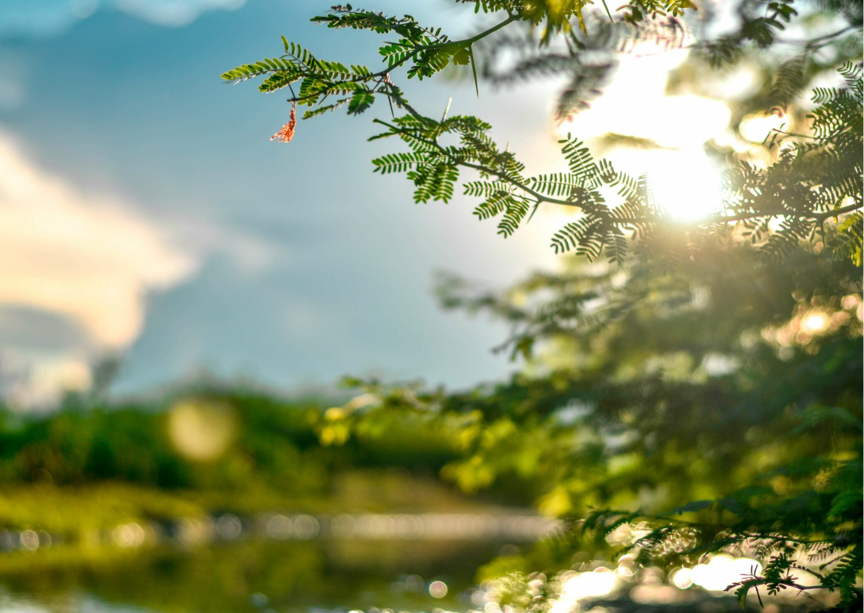 5 Simple Daily Habits That Make a Big Environmental Impact — EarthShopp