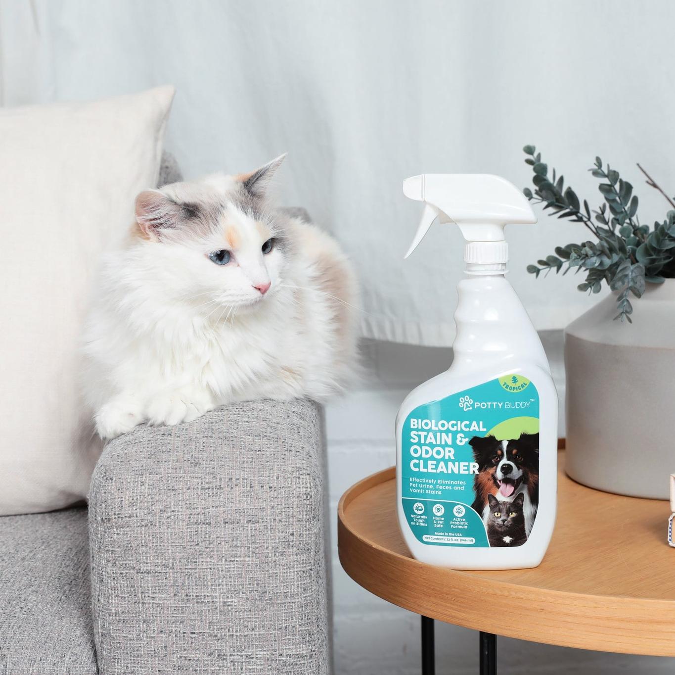 Why Does My Dog Pee on Other Dogs? - Potty Buddy™