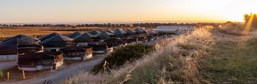 About Us – Sterling Caviar