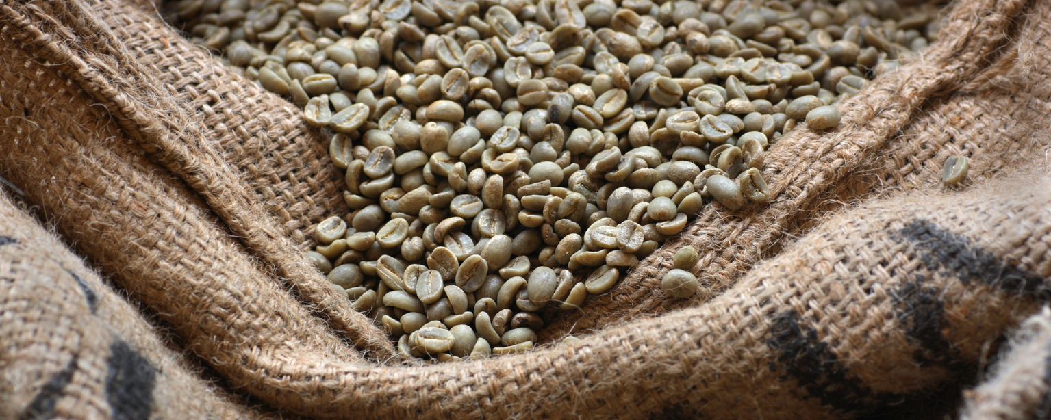 Avoiding Mycotoxins: The Ultimate Guide to Mold-Free Coffee and Its He