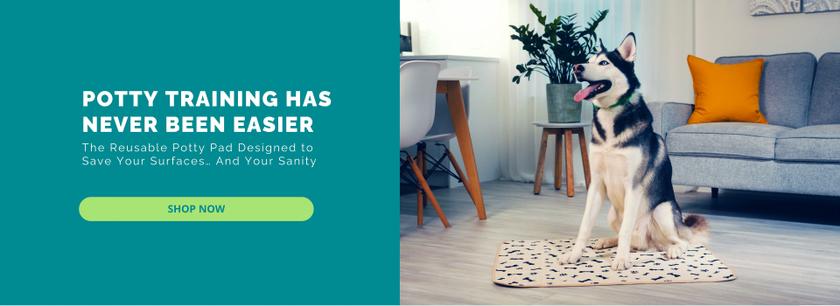 Potty Buddy - The Premium Reusable Potty Pad