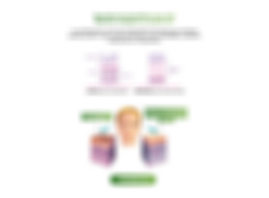 Bioxtron | Collagen Peptides