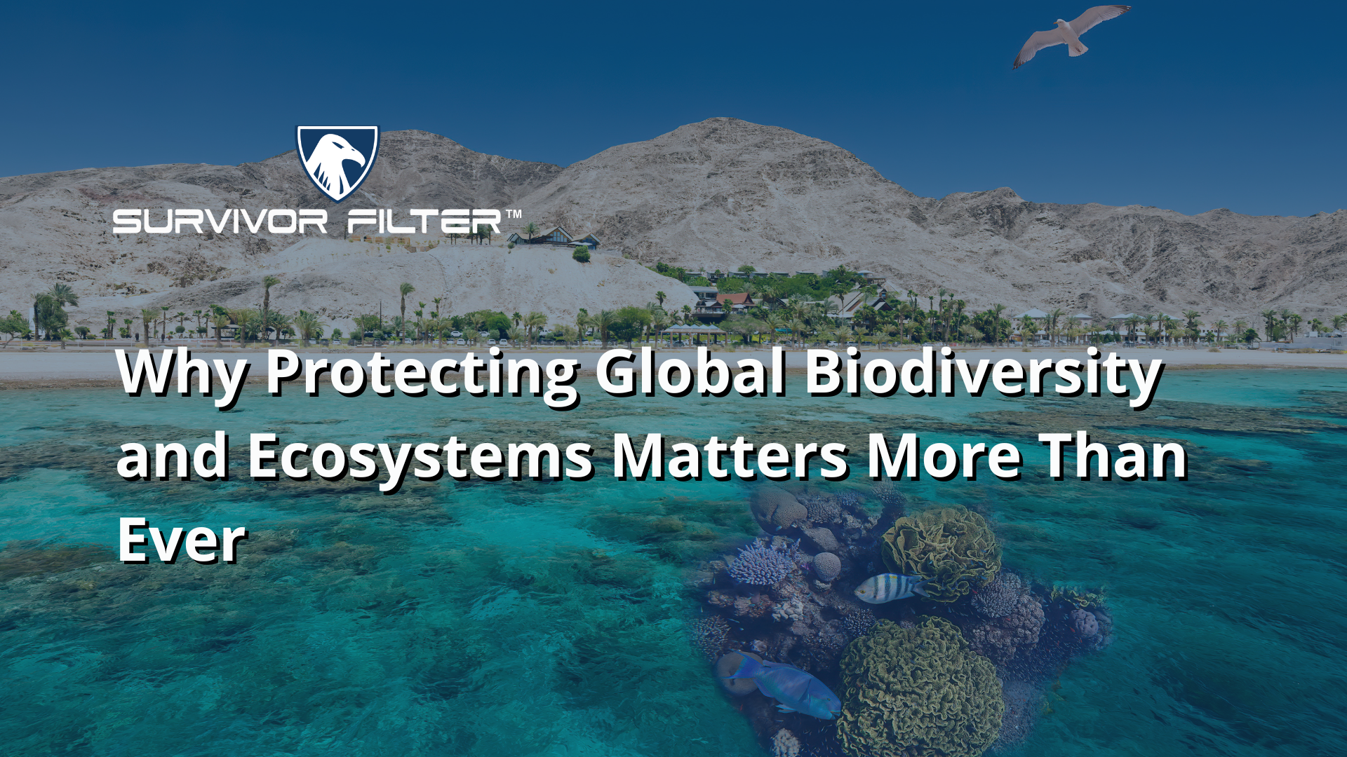 Why Protecting Global Biodiversity and Ecosystems Matters More Than Ev ...
