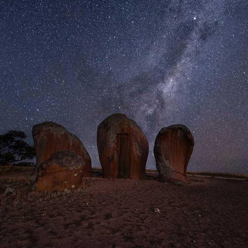 PYTHON-Explorer-10x42 – PYTHON OPTIC