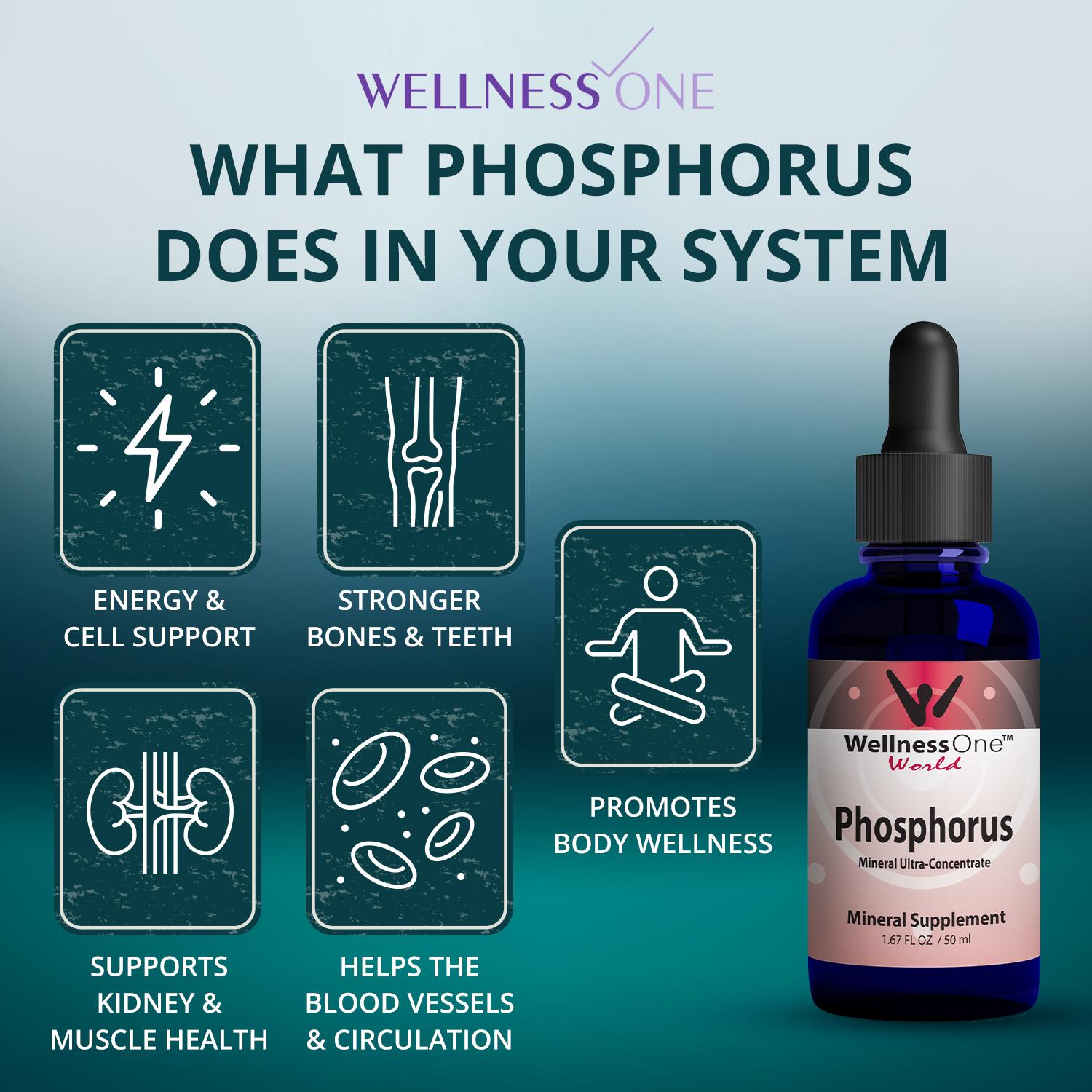 Phosphorus - Ionic Liquid Mineral Supplement - (50 Days at 50 mg per 20 ...
