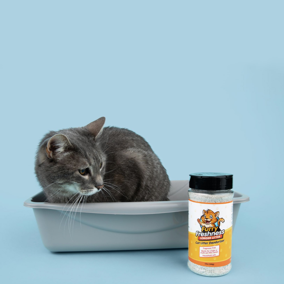 5 Common Cat Litter Mistakes You Might Be Making (And How to Fix Them ...