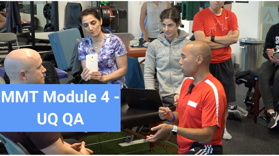 Modern Manual Therapy: The Eclectic Approach to UQ and LQ Assessment a