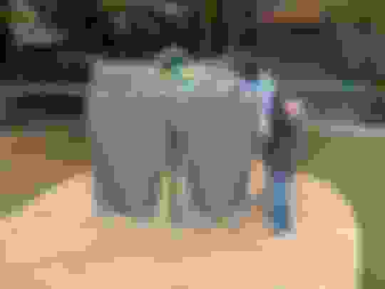 What Size of Rotary Washing Line Do I Need? – Lifestyle Clotheslines