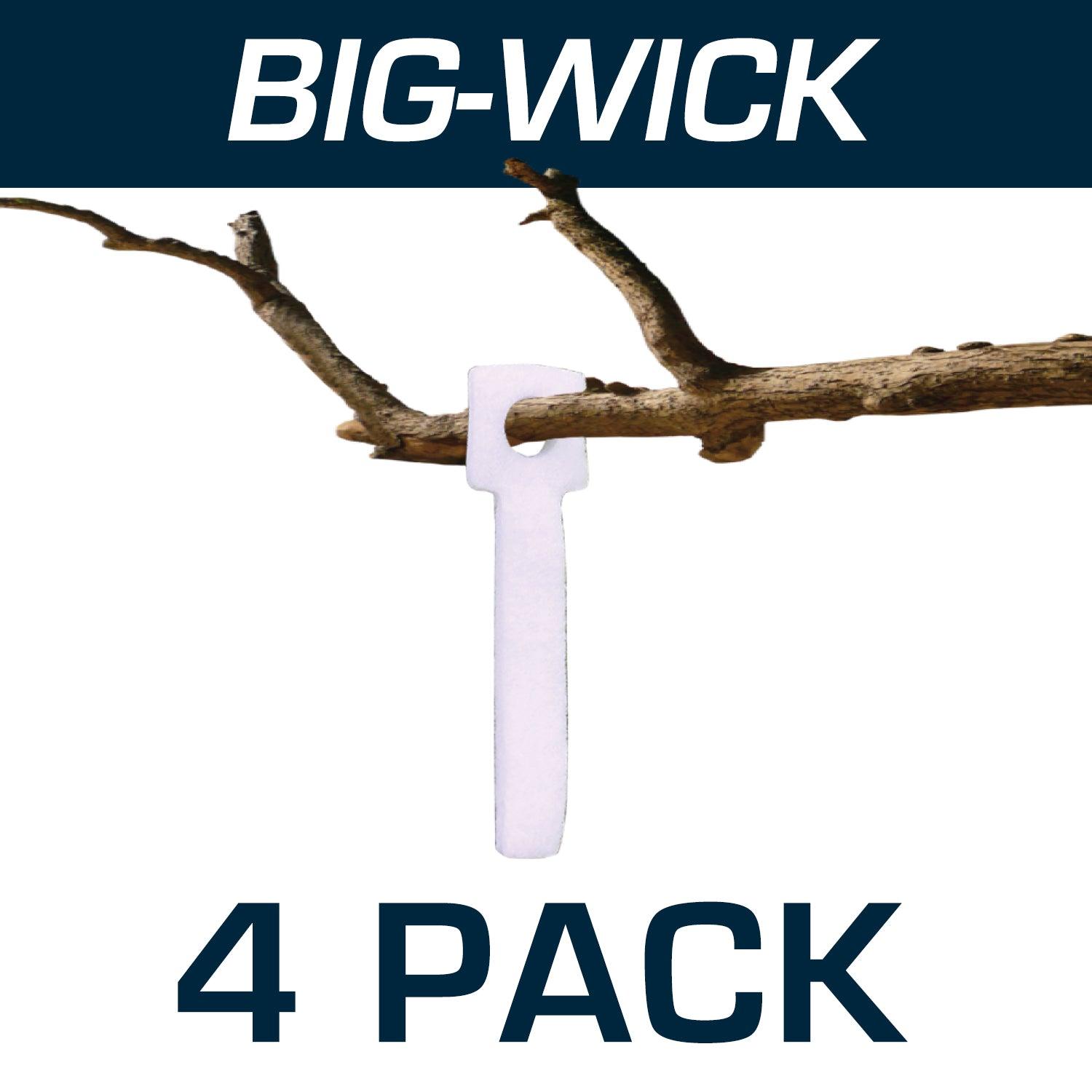 Big Wick