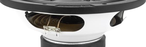 Difference between SVC and DVC Subwoofers – CT SOUNDS
